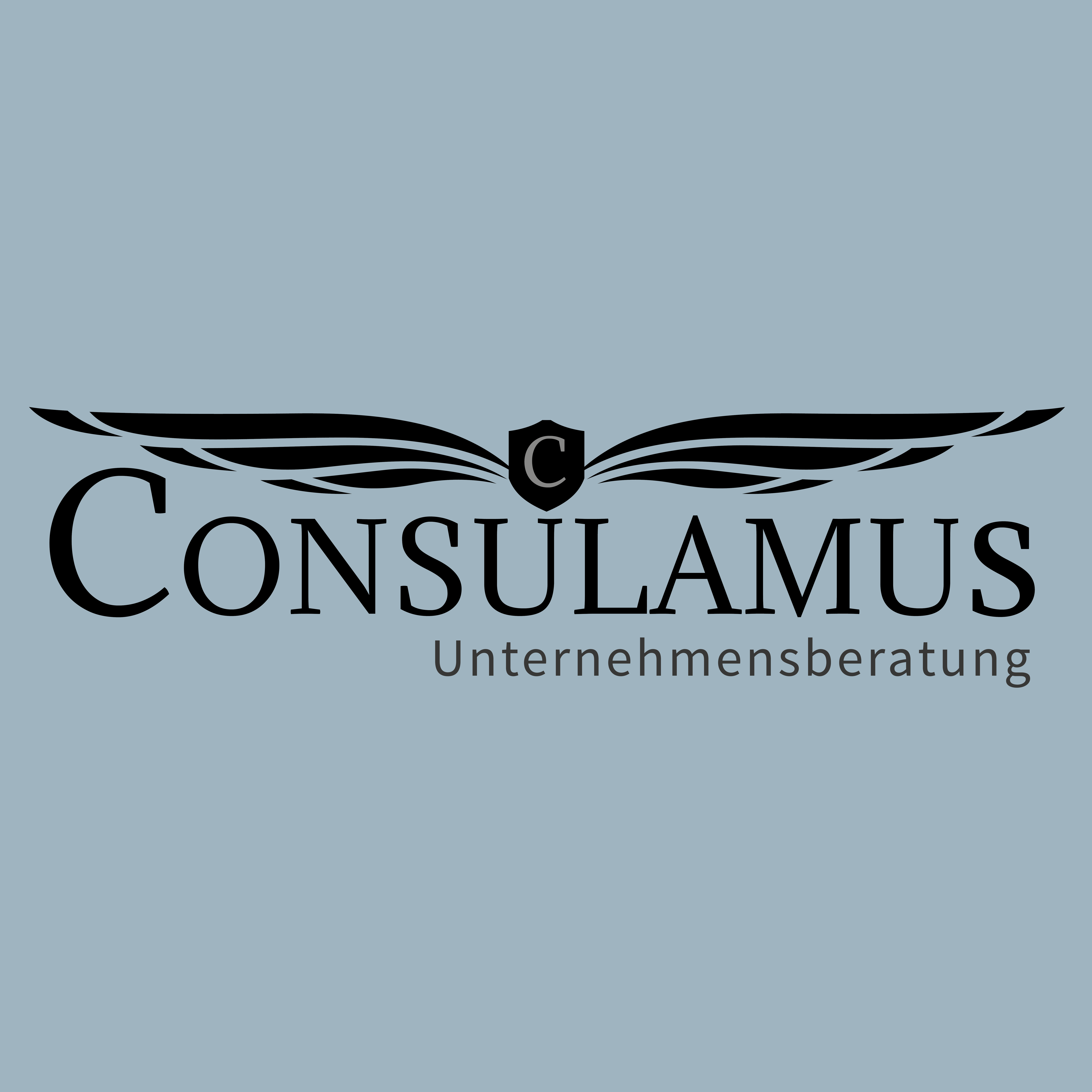 Kontakt - CONSULAMUS Unternehmensberatung